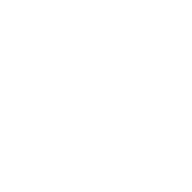 Rex Innovation || Innovate || Elevate || Dominate